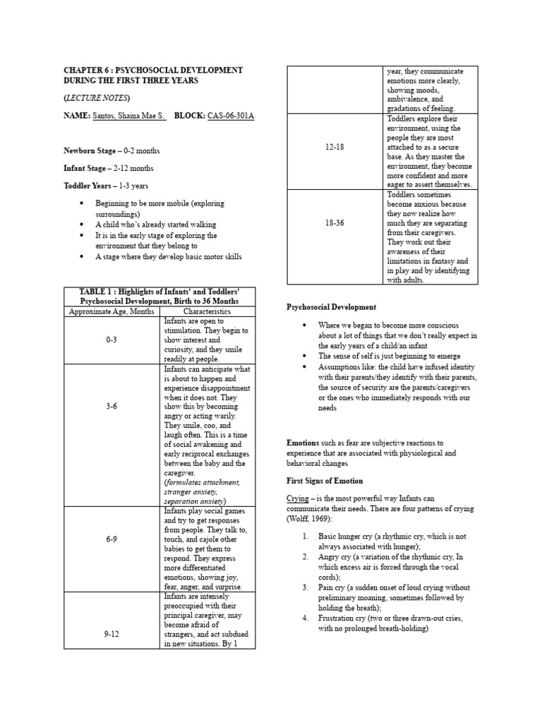 Infant Psychosocial Development Stages | PDF | Attachment Theory | Infants