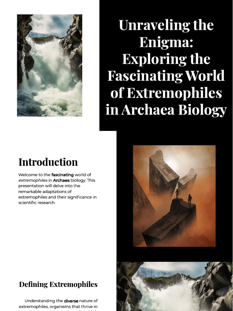 Wepik Unraveling The Enigma Exploring The Fascinating World of Extremophiles in Archaea Biology ...
