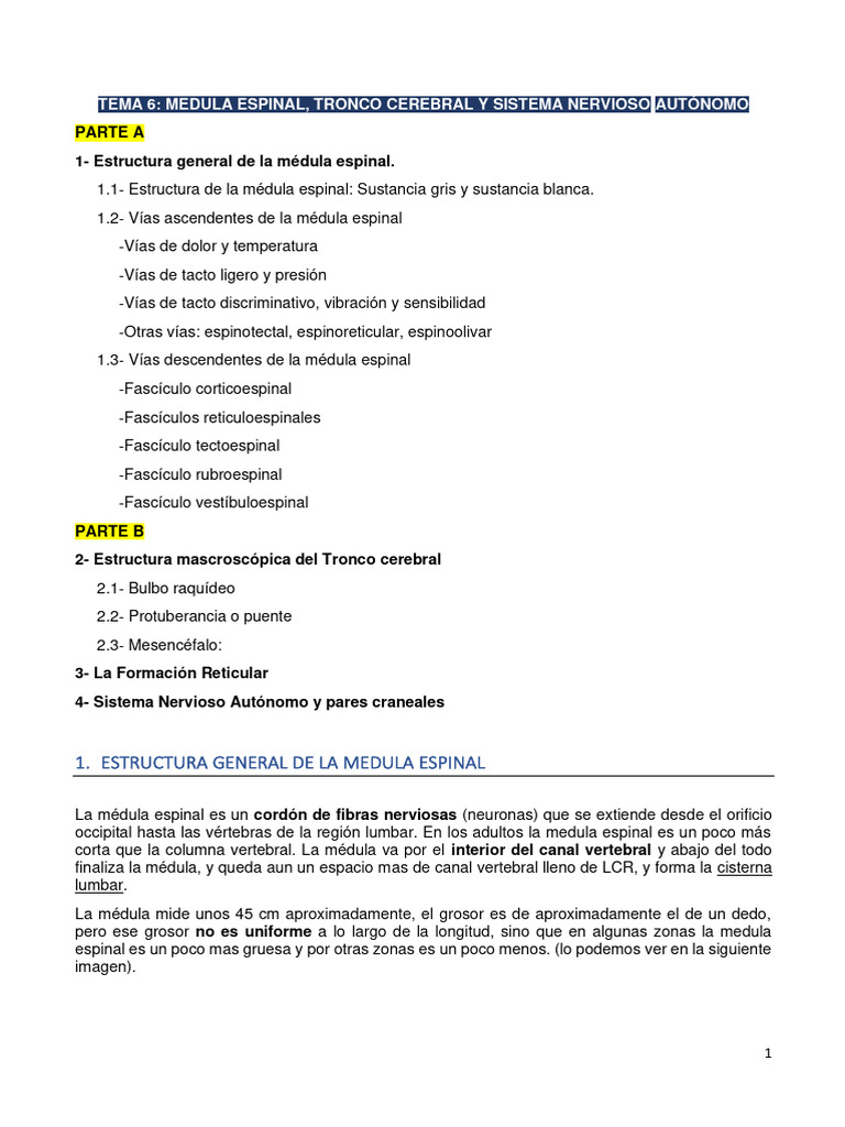 wuolah-free-TEMA-6 (2) - Gulag-Free | PDF | Médula espinal | Cerebelo