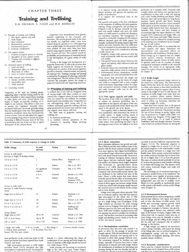 VIT - Training and Trellising - CoombeDry | PDF