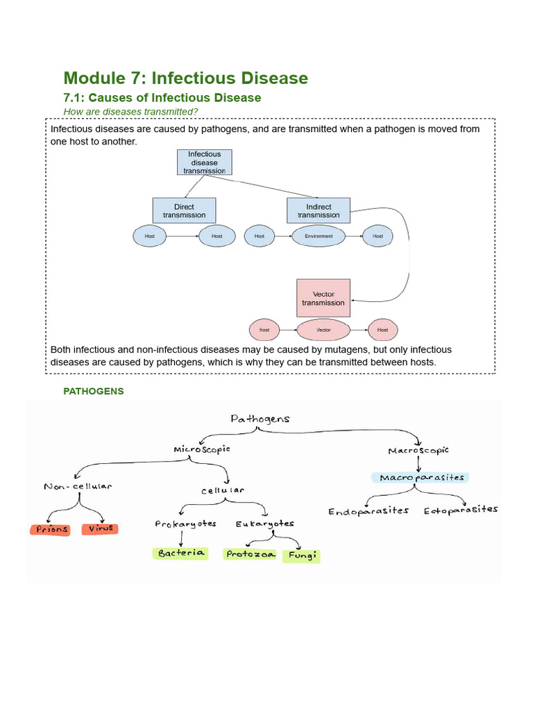 Module 7 Infectious Disease Notes | PDF | Immune System | Infection
