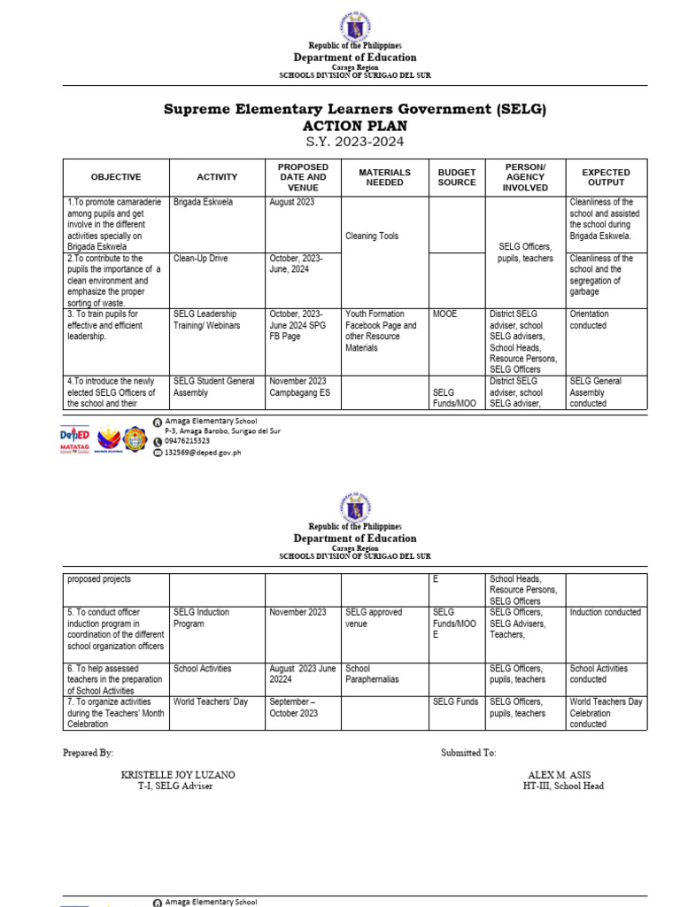 Selg Action Plan | PDF
