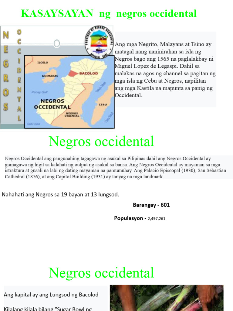 6 Negros Occidental | PDF