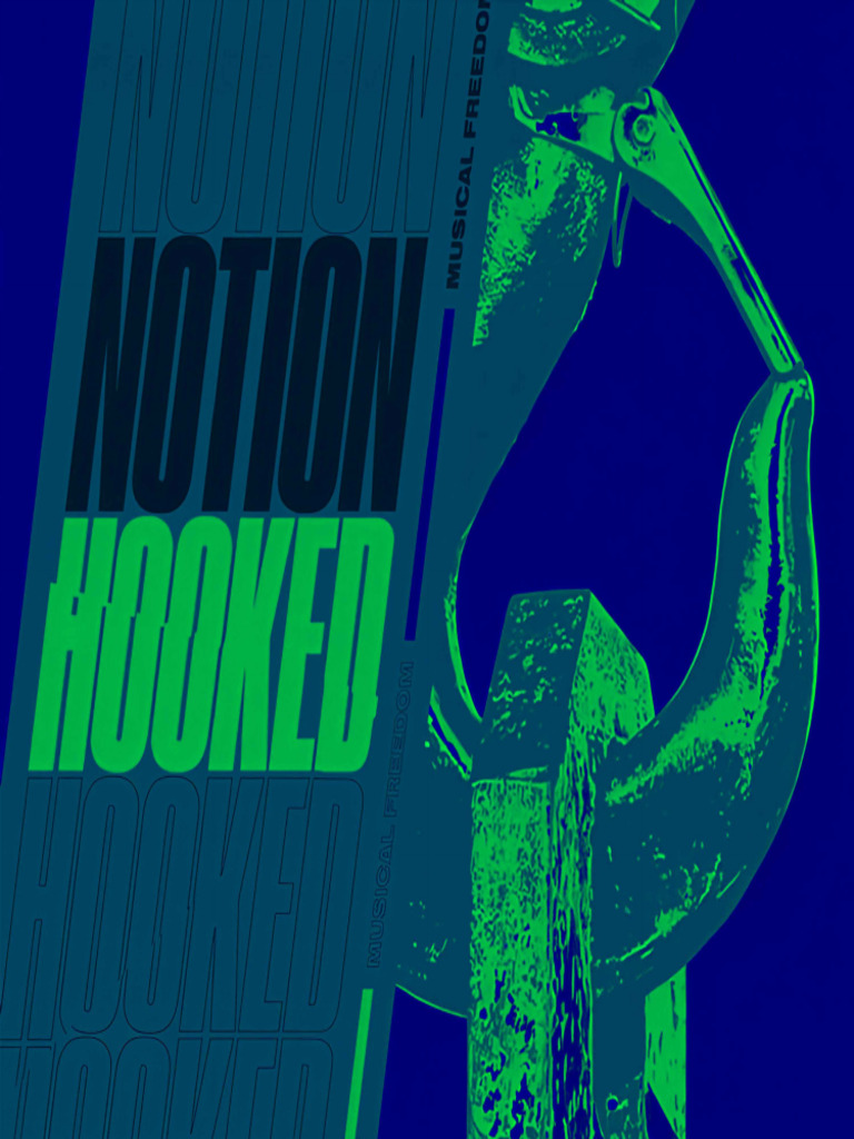 Shynji Hooked | PDF