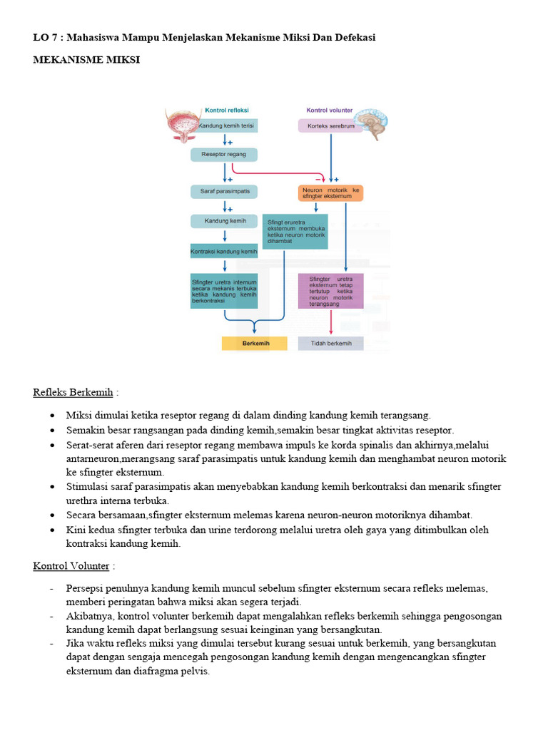 Mekanisme Miksi Dan Defekasi | PDF