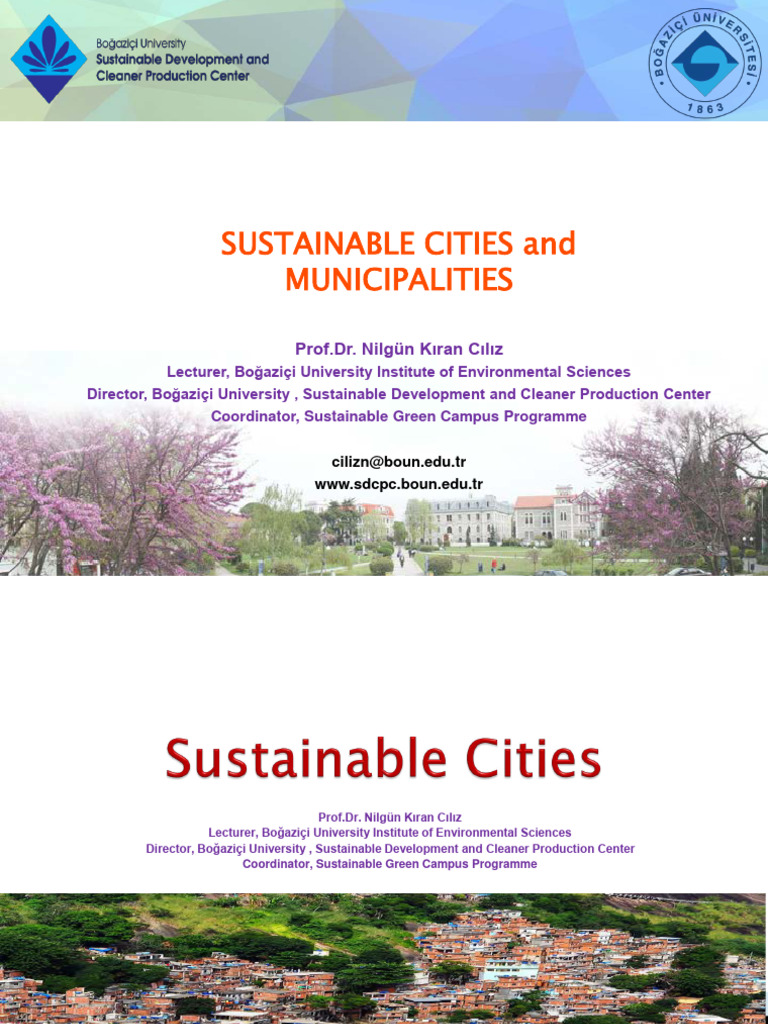 Sustainable Cities | PDF | Green Infrastructure | Sustainable City