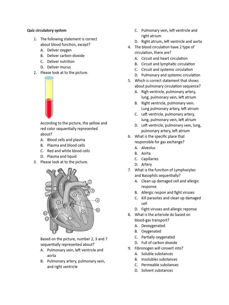 Quiz Circulatory System | PDF | Artery | Circulatory System