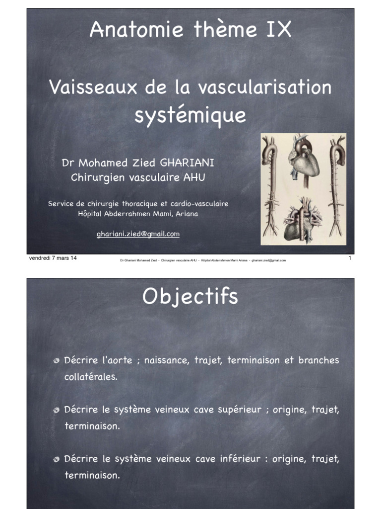 Anatomie Th+¿Me IX P3 DR Ghariani MZ (2014) | PDF | Aorte | Vaisseau ...