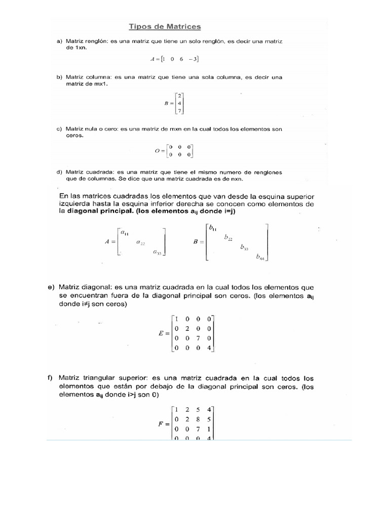 Tipos de Matrices | PDF