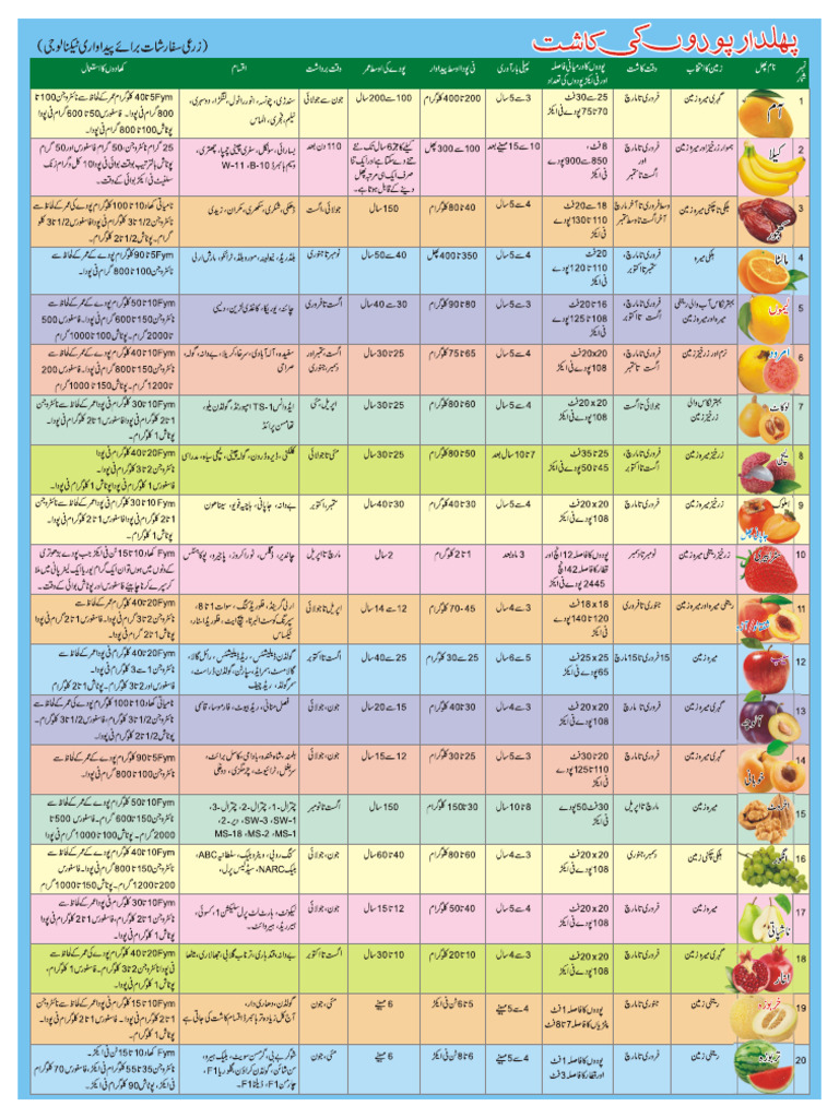 Fruits Calander KPK Pakistan | PDF