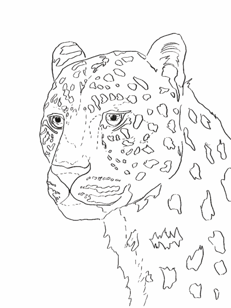Cheetah Outline | PDF