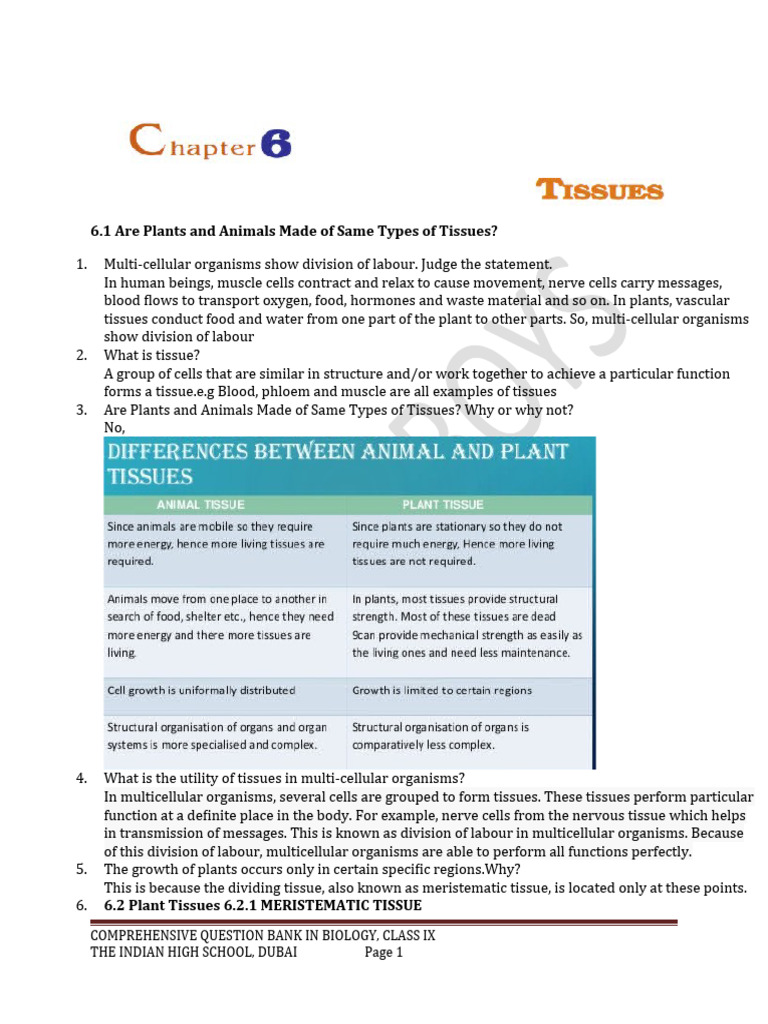 Tissues Comprehensive Notes | PDF | Epithelium | Tissue (Biology)