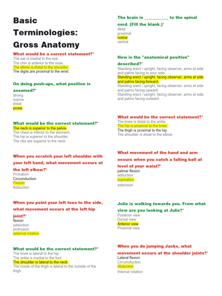 ANATOMY | PDF | Anatomical Terms Of Motion | Connective Tissue