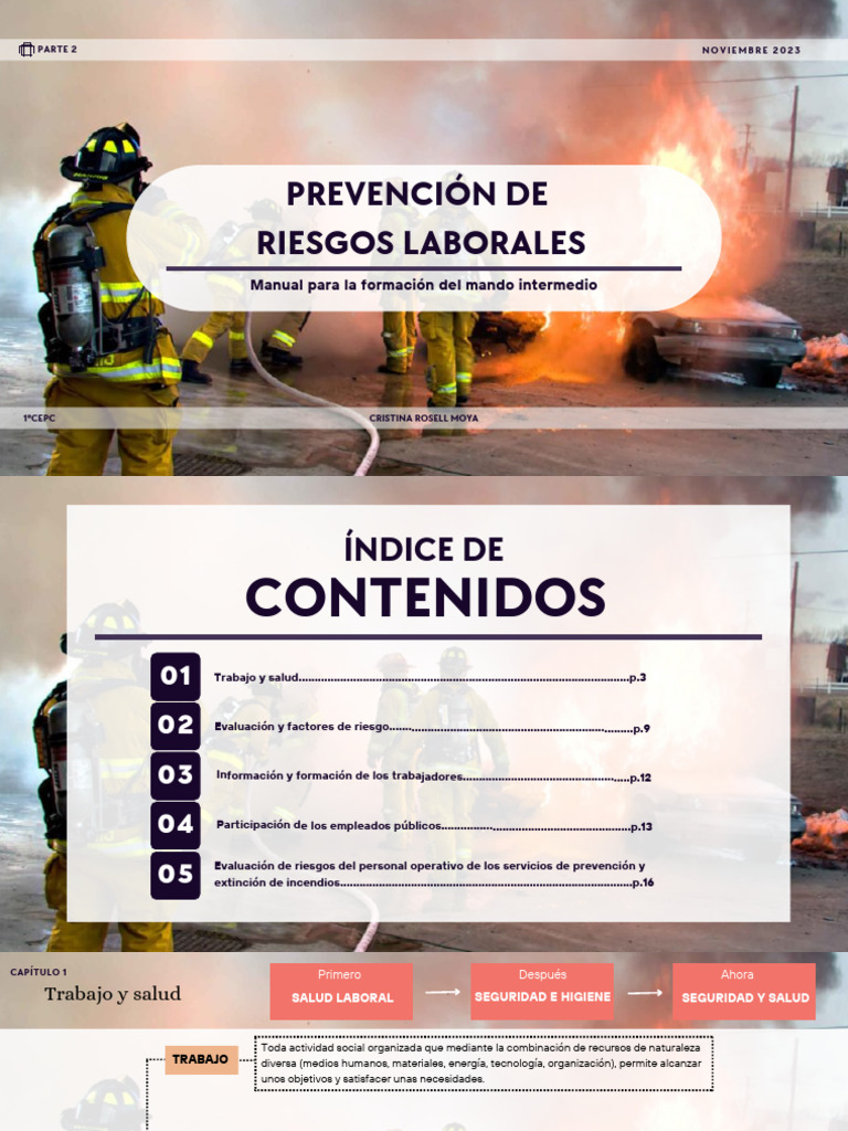 Esquemas PARTE 2. PREVENCIÓN DE RIESGOS LABORALES CRISTINA ROSELL MOYA | PDF | Seguridad y salud ...
