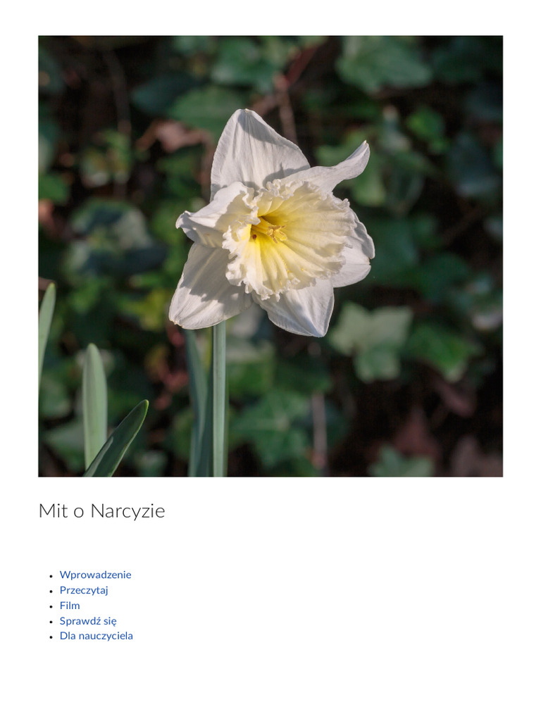 Mit o Narcyzie | PDF