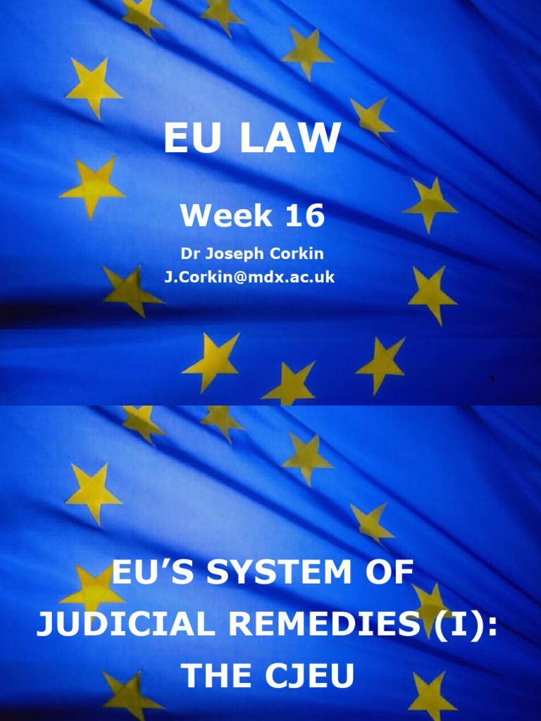 LW16 - Lecture Slides - The Court of Justice of The EU | PDF | European ...
