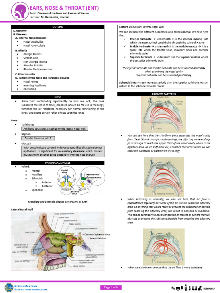ENT - Diseases of The Nose and Paranasal Sinuses | PDF | Human Nose ...