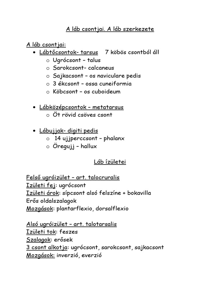 A Láb Csontjai | PDF