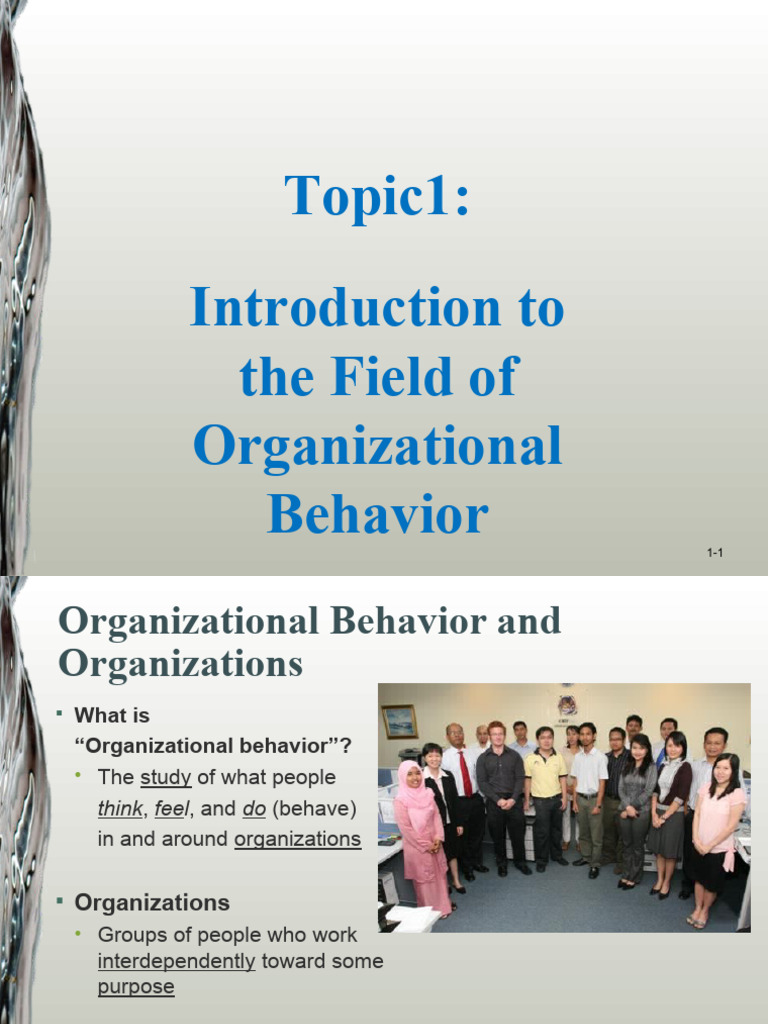 Topic 1 Introduction To The Field of OB | PDF | Corporate Social Responsibility | Organizational ...
