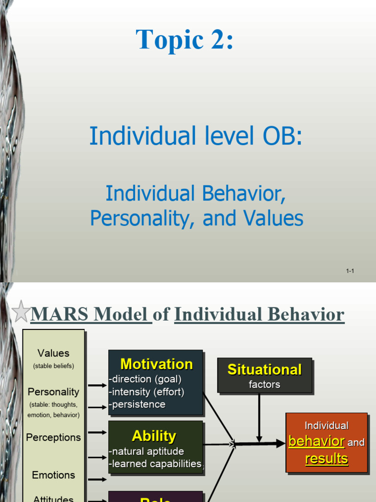 Topic 2 Individual Behavior, Personality, and Values | PDF | Extraversion And Introversion ...