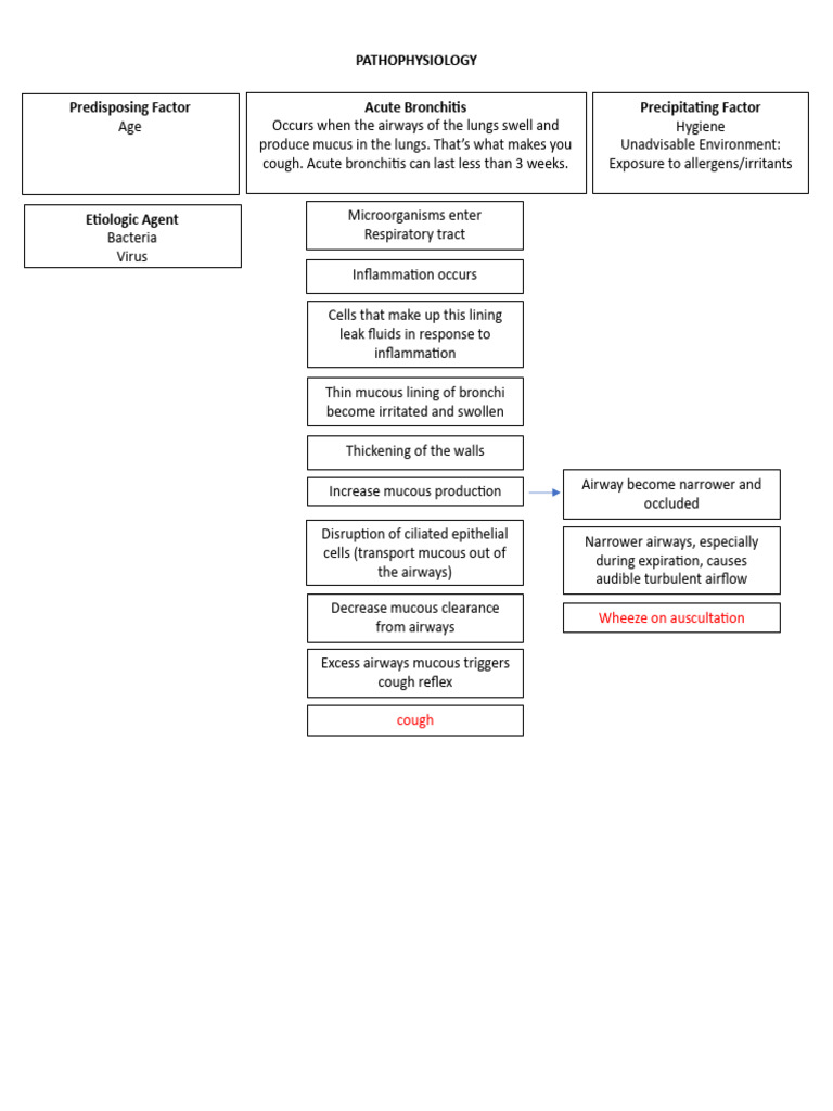 PATHOPHYSIOLOGY Acute Bronchitis | PDF