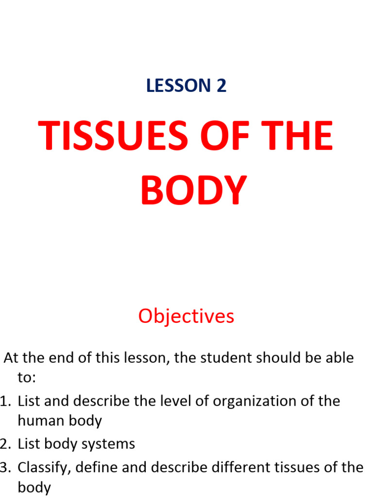 ANATOMY AND PHYSIOLOGY TISSUE NOTESpdf | PDF | Epithelium | Connective ...