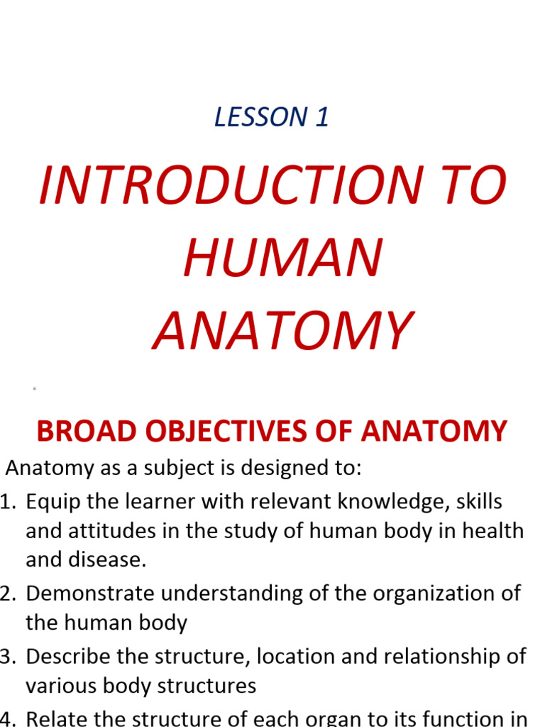 Anatomy and Physiology Lesson 1 | PDF | Anatomical Terms Of Location ...