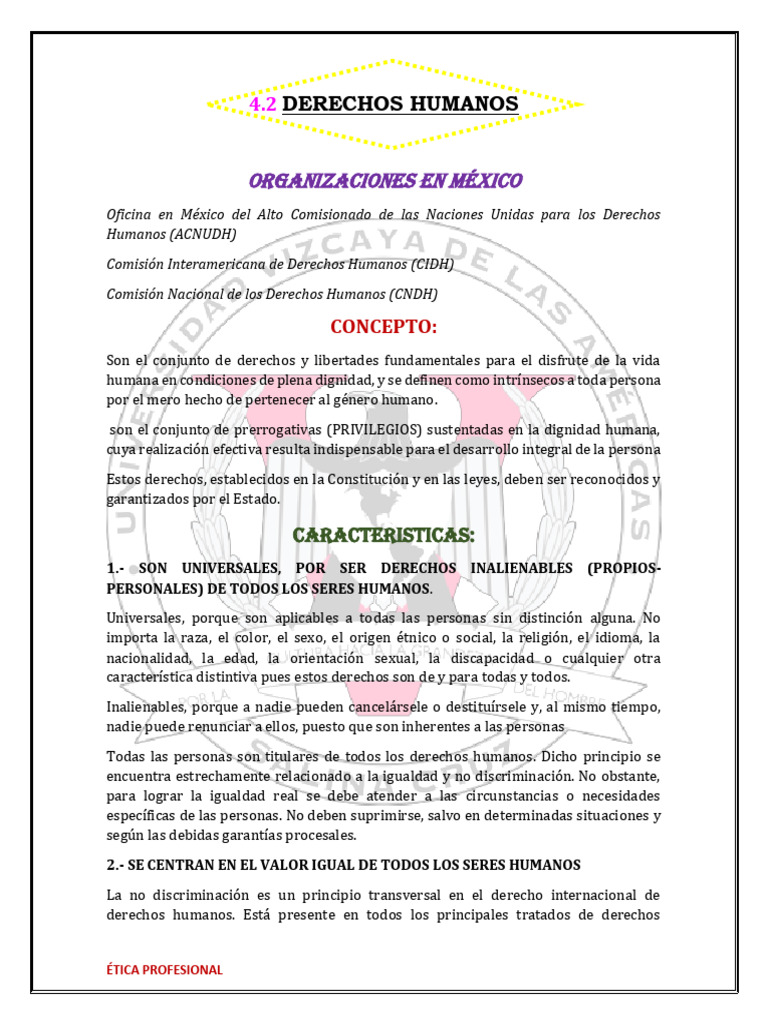 Derechos Humanos y Ética Profesional en México | PDF | Derechos humanos ...