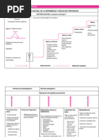 Maniobra de Ritgen | PDF | Parto | Reproducción