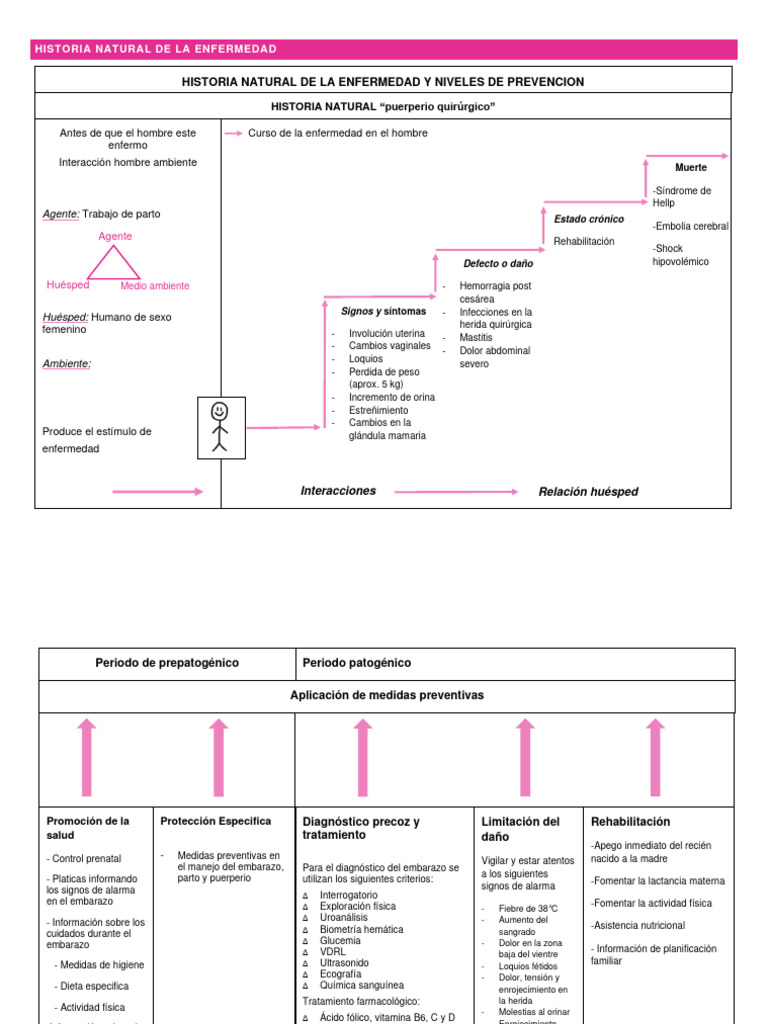 Puerperio Qx (historia natural) | PDF | Periodo posparto | El embarazo