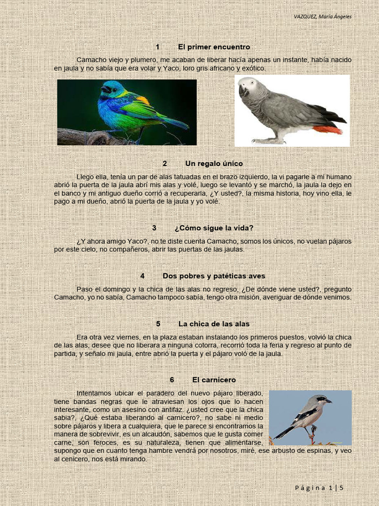 Resumen Libro Lindo Dia para Volar Vazquez M Angeles | PDF | Aves