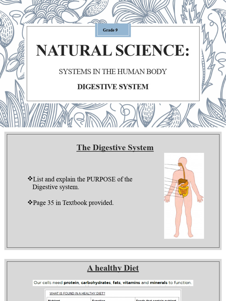 Grade 9 Natural Science - Digestive System | PDF