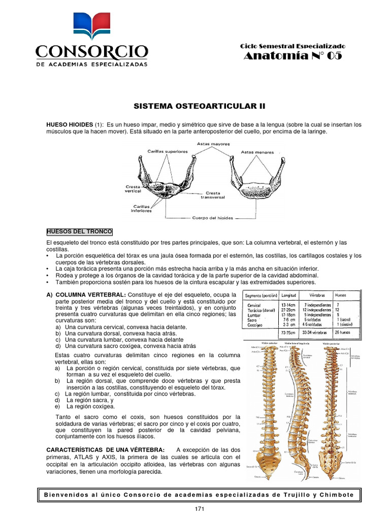 Práctica de Sistema OsteoArticular #5 | Descargar gratis PDF | Mano ...