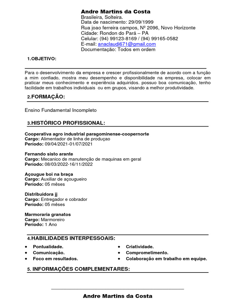 Curriculo Andre Martins... | PDF