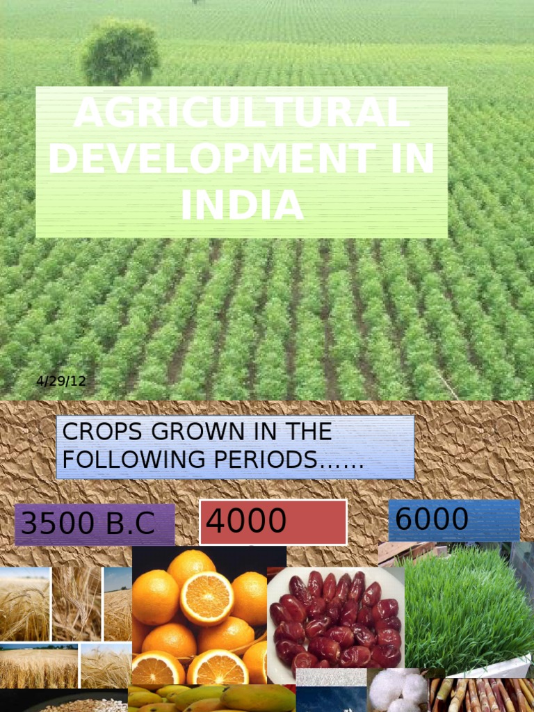 Agricultural Development in India | PDF | Green Revolution | Agriculture