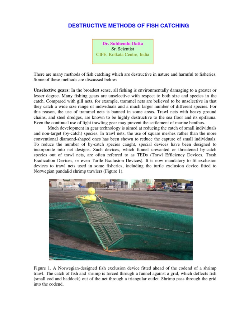 Destructive Methods of Fish Catching | PDF | Trawling | Fish And Humans