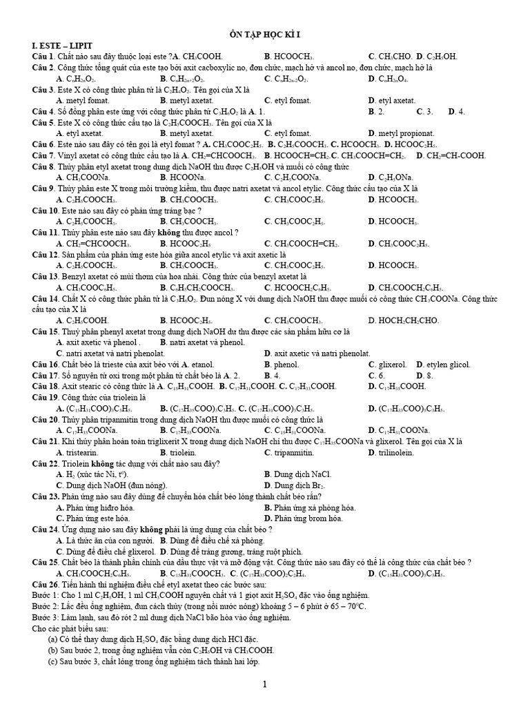 Đê Cương hk1 12 2023 LAM LAI | PDF