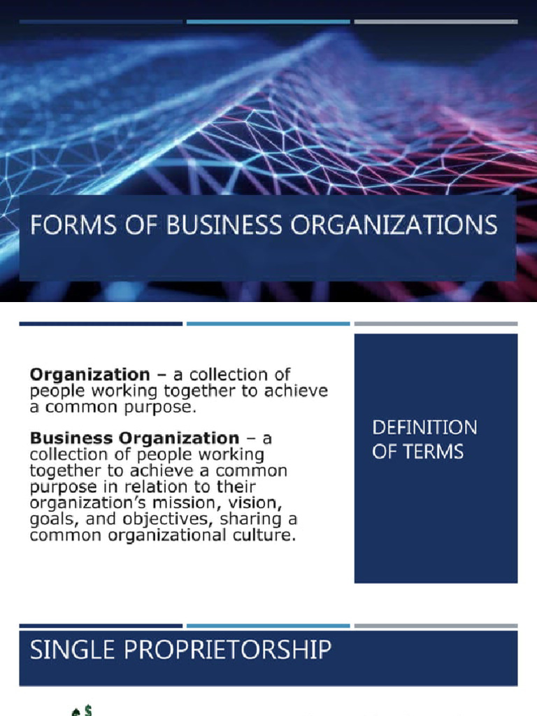 Forms and Types of Business Organizations | PDF