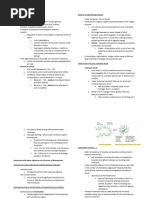 Lehninger Principles of Biochemistry 6th Edition | PDF | Cell Membrane ...