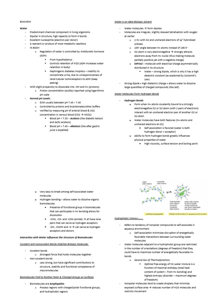 Biochemistry Notes 1 0 Pdf Amino Acid Acid Dissociation Constant