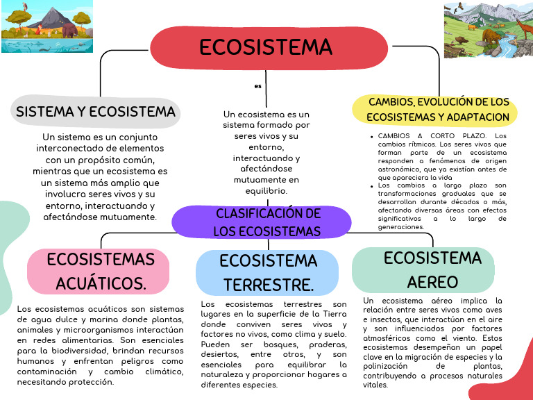 ECOSISTEMA | PDF | Ecosistema | Entorno natural