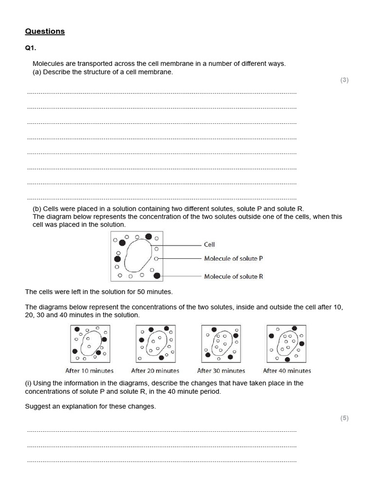 Cell Membranes and Transport | PDF | Cell Membrane | Lipid Bilayer