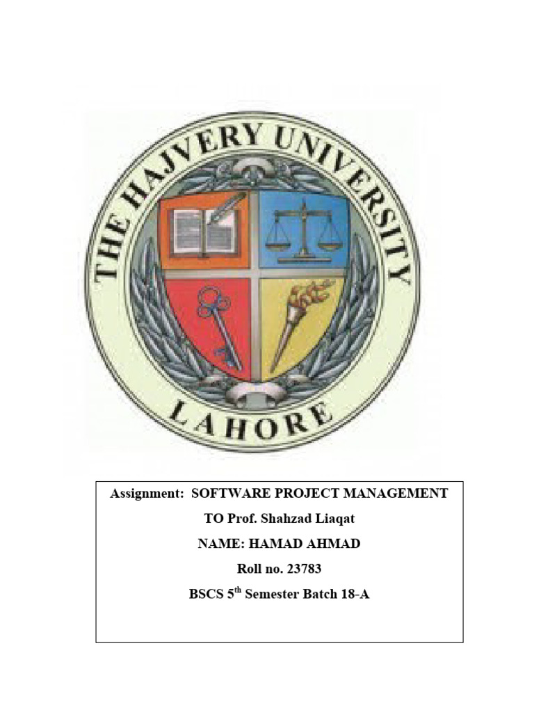 SPM Assignment | PDF | Conceptual Model | Computing