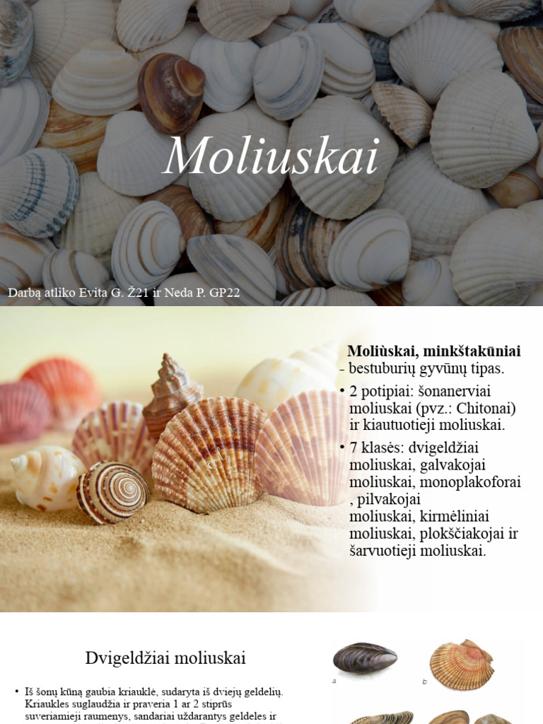 Moliuskai | PDF