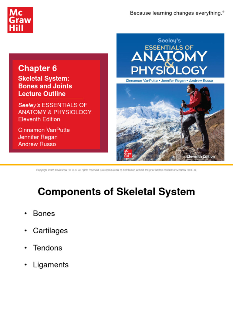 Chapter 6 Skeletal System Pdf Vertebral Column Bone
