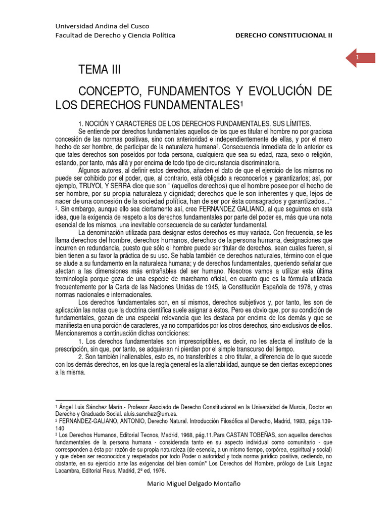 Tema Iii Concepto, Fundamentos y Evolución de Los Derechos Fundamentales | PDF | Derechos ...