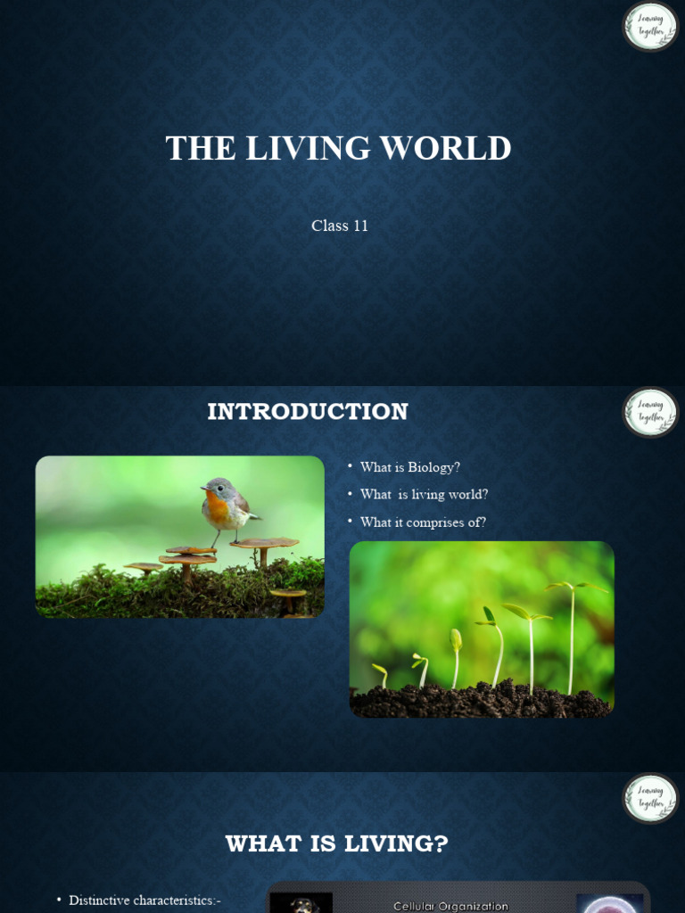 The Living World | PDF | Species | Taxonomy (Biology)