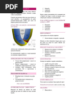 Tratamento Endodôntico - Biopulpectomia e Necropulpectomia. 13082024 ...