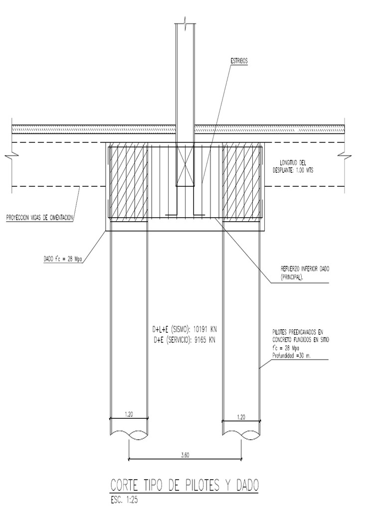Detalle Pilotes Model | PDF