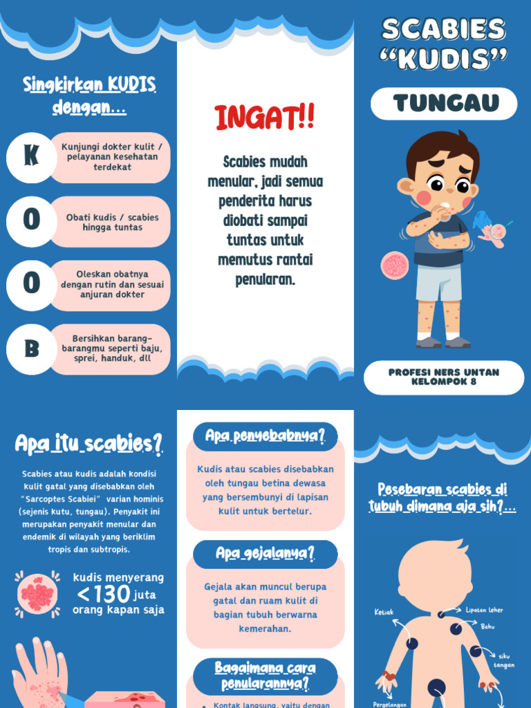 Scabies Leaflet | PDF